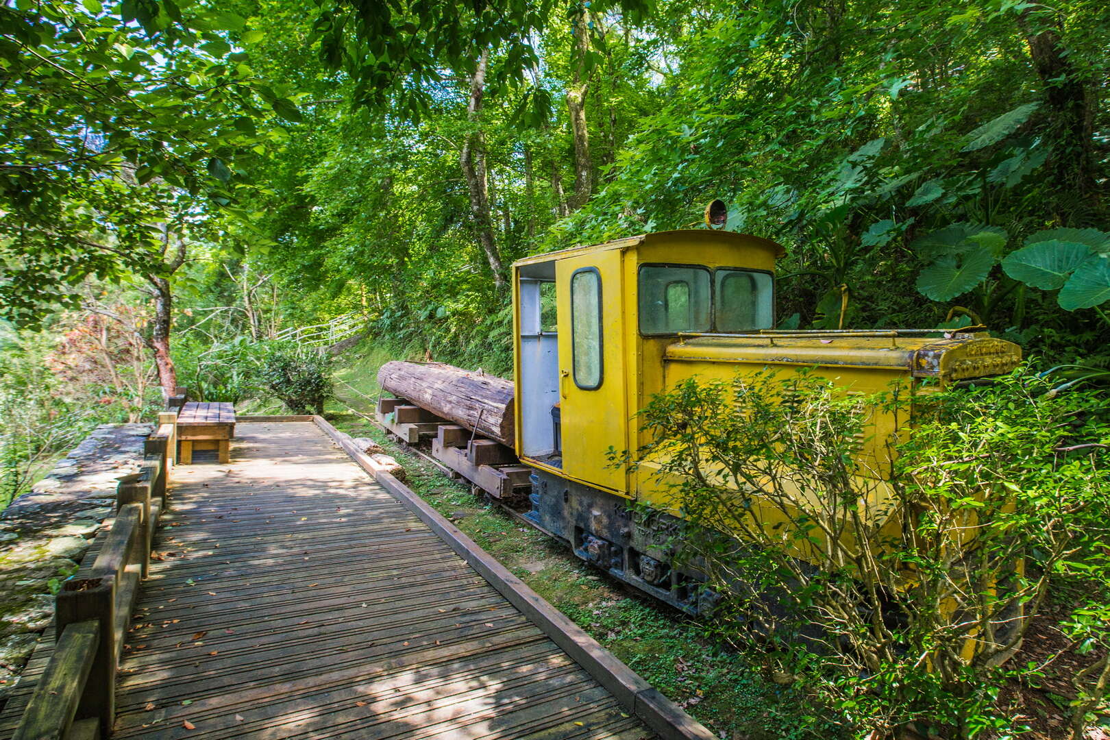 Chinan National Forest Recreation Area－East Longitudinal Valley ...
