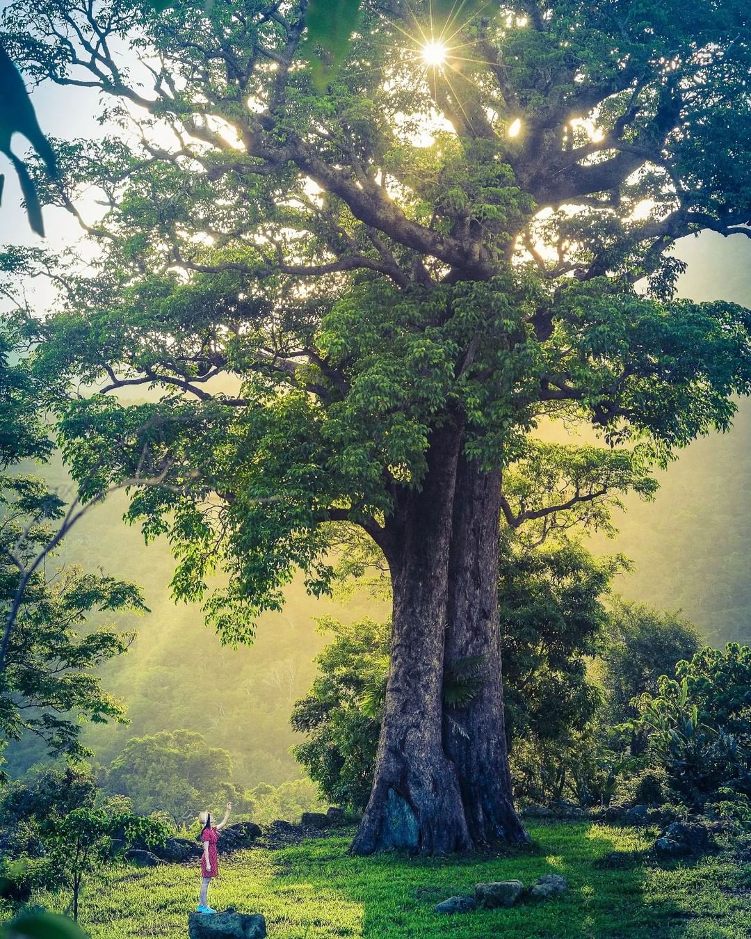 East Rift Valley National Scenic Area